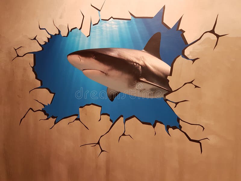 Shark through a wall stock image. Image of wall, shark - 95084591
