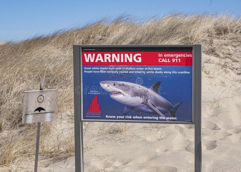 Shark Warning Beach Sign in Front of Sand Dune Editorial Stock Image ...
