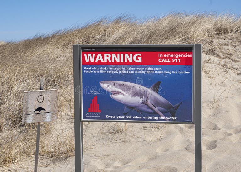Shark Warning Beach Sign in Front of Sand Dune Editorial Stock Image ...