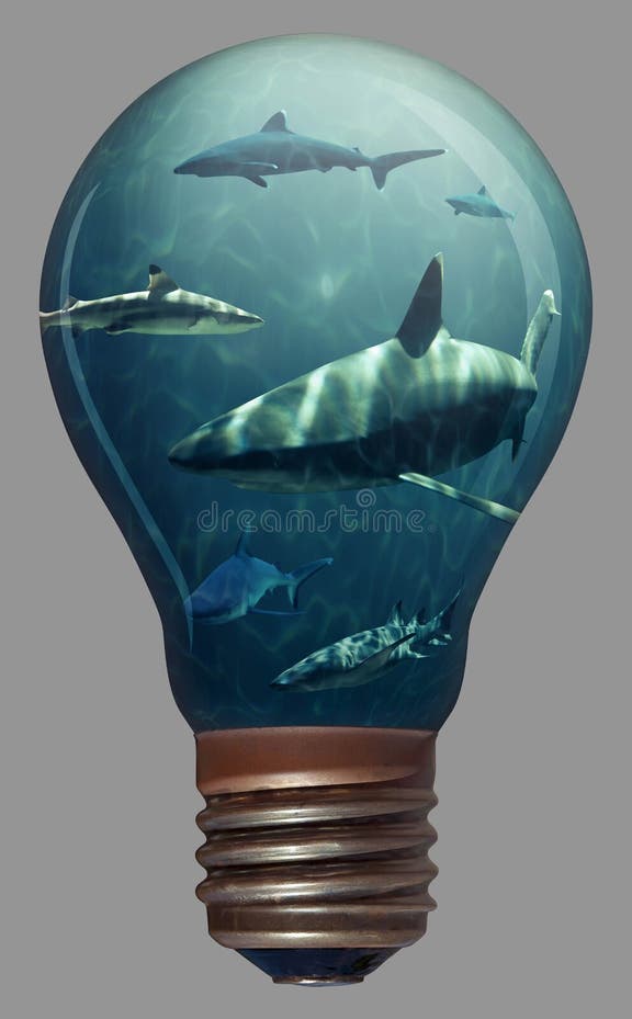 Sharks in a light bulb stock photo. Image of aqua, innovation - 58319510