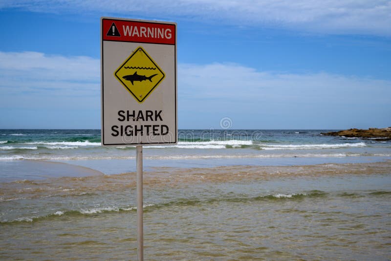 Sharks Warning Sign on a Beach Stock Image - Image of predator ...