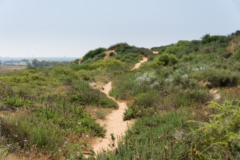 At Sharon Beach National Park, Sharon Area Stock Image - Image of sand ...