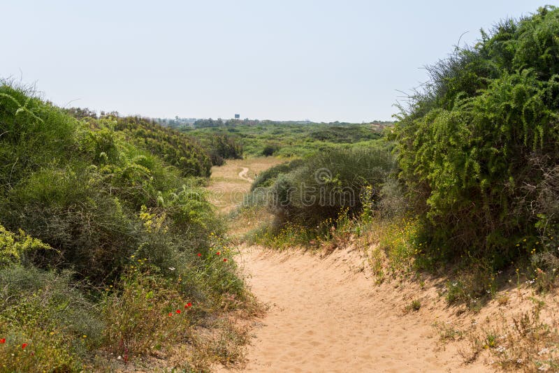 At Sharon Beach National Park, Sharon Area Stock Image - Image of ...