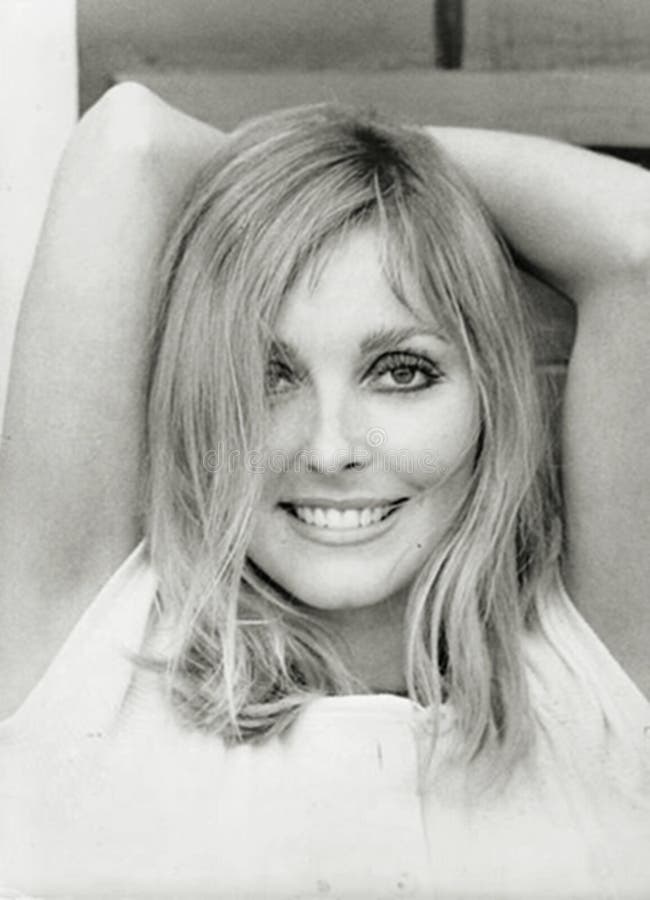 Sharon Tate,1967 stock image. Image of sharontate - 101321403
