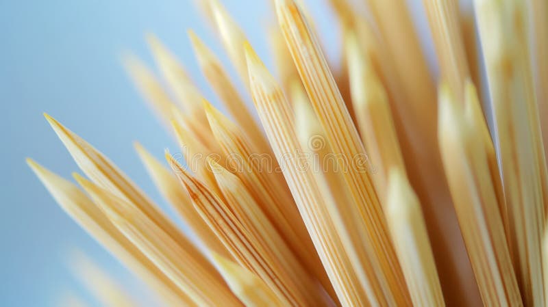 A Sharp Array of Toothpicks Fans Out Stock Illustration - Illustration ...
