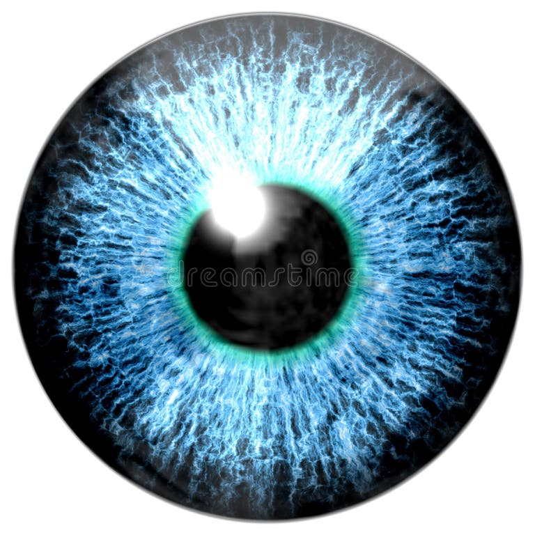 Sharp Eye Stock Illustrations – 43,738 Sharp Eye Stock Illustrations ...