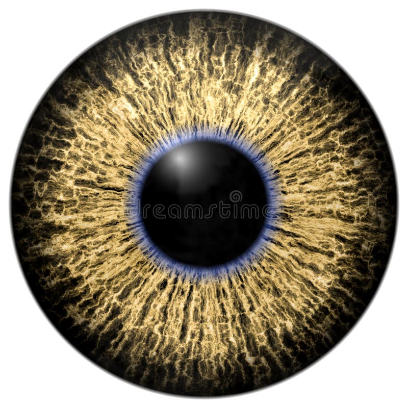 Sharp Attractive Deep Eye Texture 3D 13 Stock Illustration ...