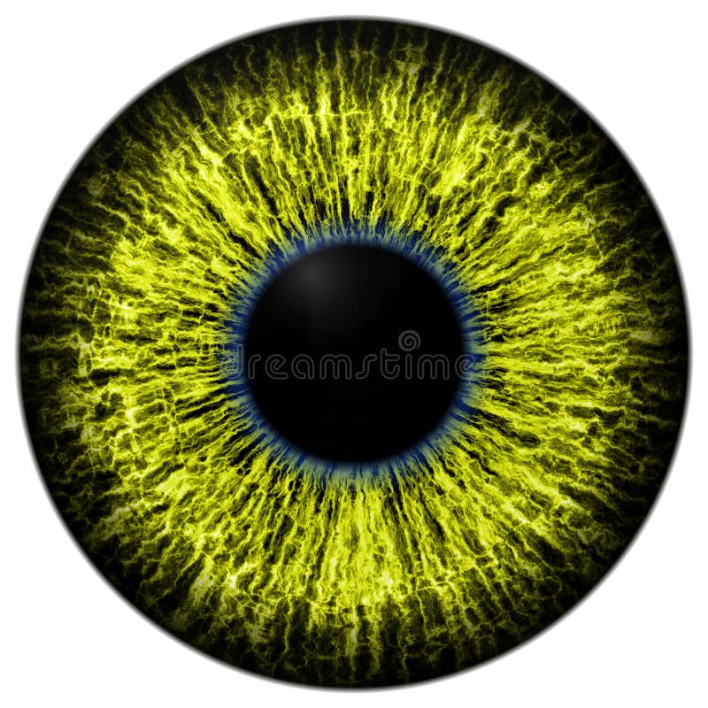 Sharp Attractive Deep Eye Texture 3D 19 Stock Illustration ...