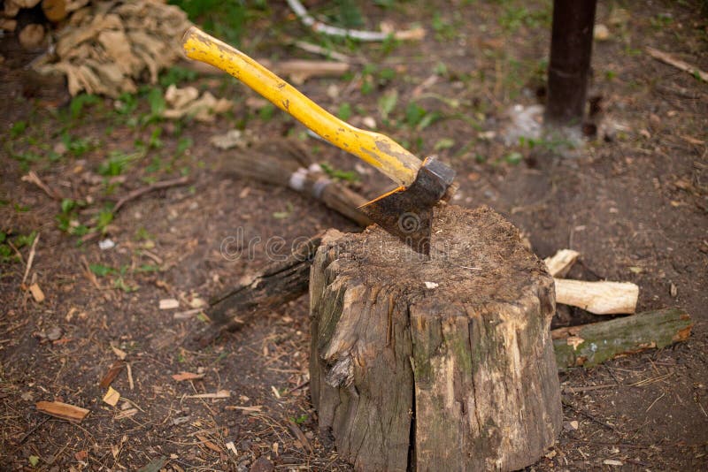 Sharp Axe Un the Cut Wood on the Ground Stock Photo - Image of woodpile ...