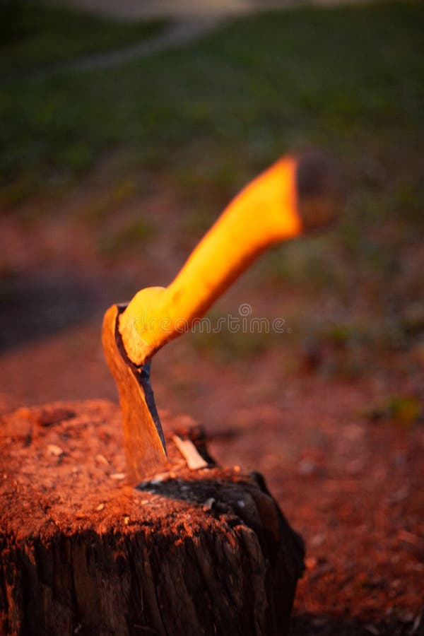 Sharp Axe in the Cut Wood on the Ground Stock Photo - Image of ...