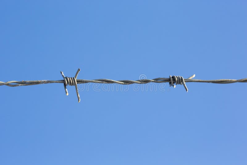 Sharp barb wire. stock photo. Image of chain, freedom - 80149950