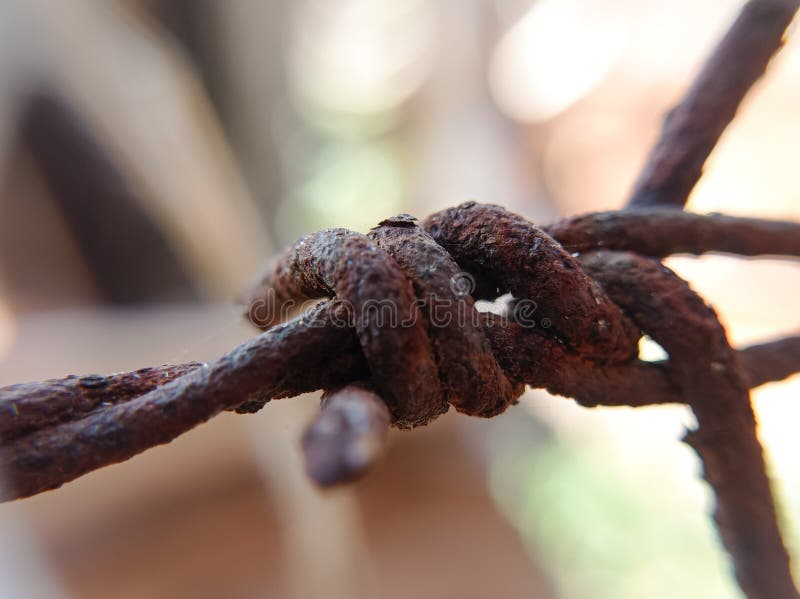 Sharp Barbed Wire with Sharp Edges and Corroded Stock Photo - Image of ...