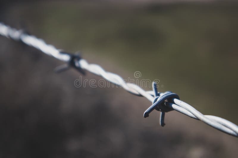 Sharp Barbed Wire Fence Border Stock Photo - Image of side, field ...