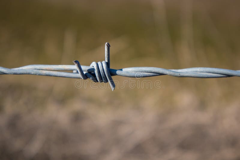 Sharp Barbed Wire Fence Border Stock Image - Image of protection ...