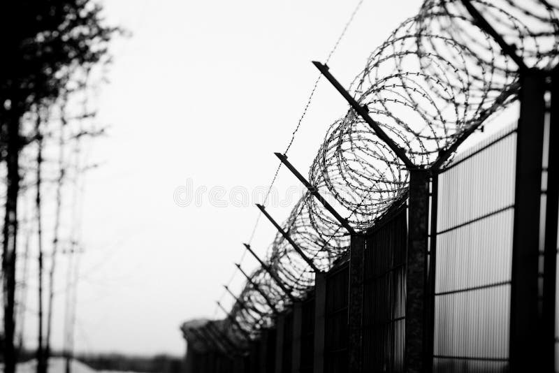Sharp barbed wire on fence stock photo. Image of criminal - 83768448