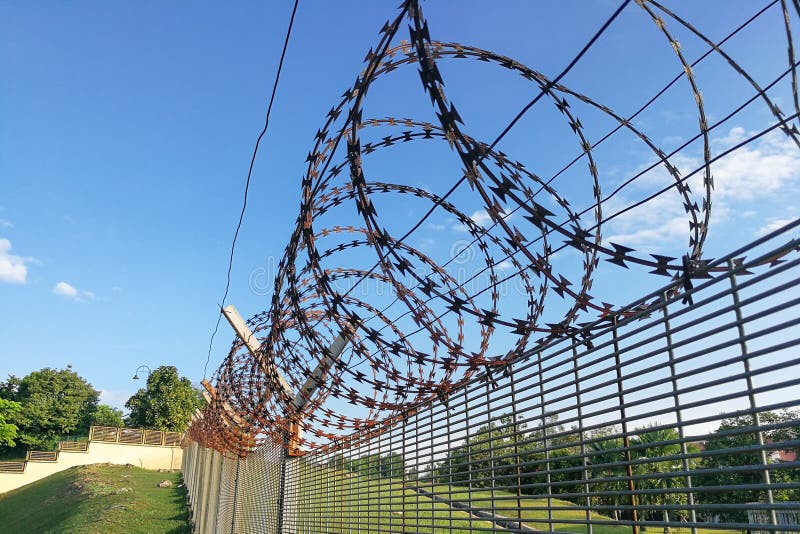 Sharp Barbed Wire on Security Fence Protecti Secure Private Space Stock ...