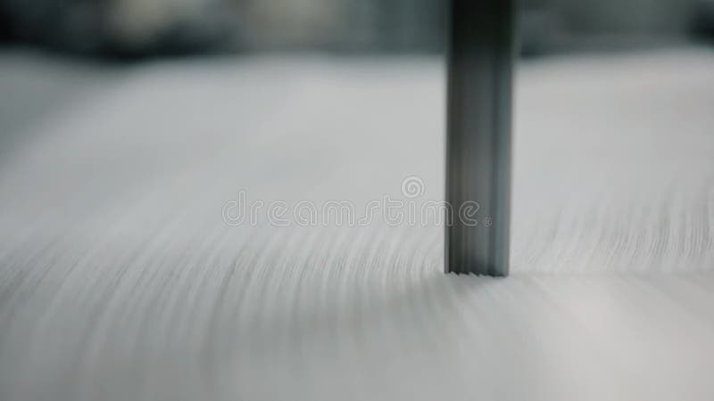 Sharp Blade Cuts Paper Rolls on Conveyor Line at Paper Mill. Stock ...