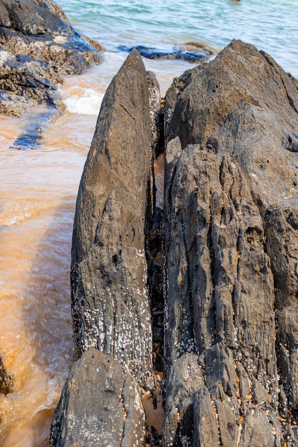 Sharp Boulders on the Seashore, Rocky Shore, Vertical Landscape Stock ...