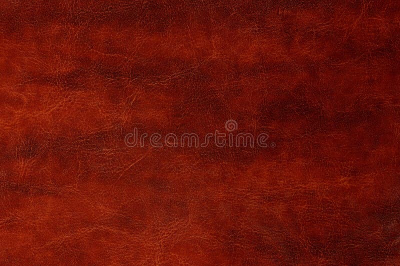 Sharp Brown Leather Texture Stock Image - Image of cracked, grained ...