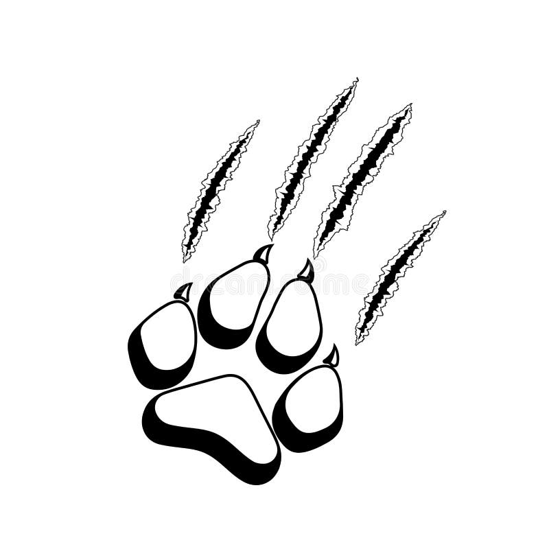 Wolf Paw Claws Scratch