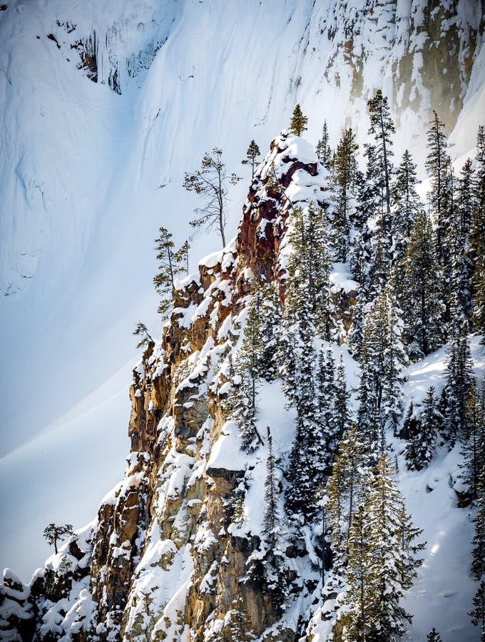 Sharp Cliff Covered in Green Pine Trees and Fresh Fallen Snow ...