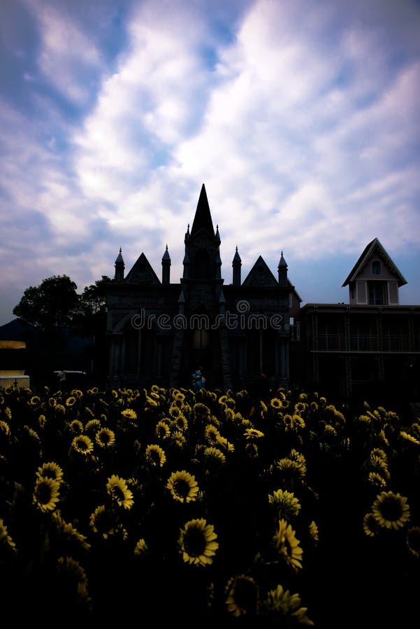 A Sharp Contrast Wedding Studios Stock Image - Image of buildings, girl ...
