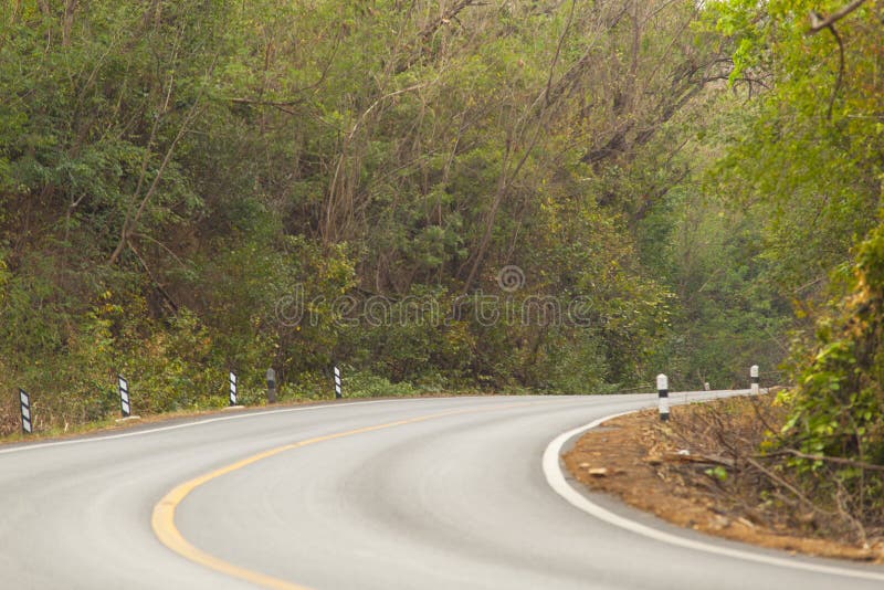 Sharp Curve Road in Forest Hill Stock Image - Image of countryside ...
