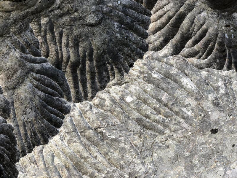 Sharp and Dangerous Limestone Formations Stock Photo - Image of mining ...
