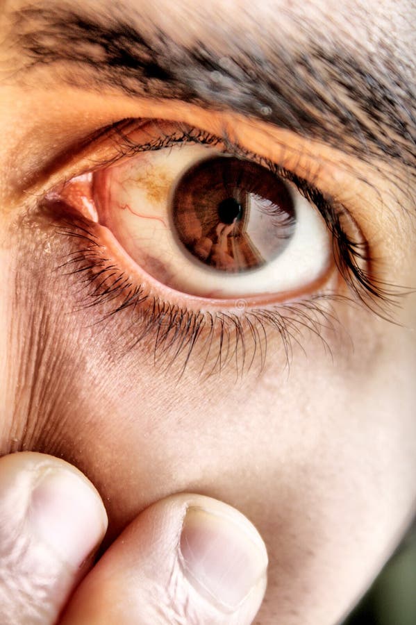 Sharp eye stock photo. Image of egypt, humain, cornea - 59649134