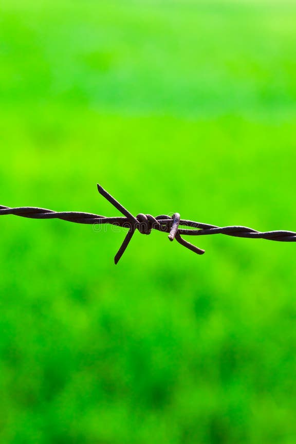 The sharp fence stock image. Image of defend, iron, gate - 24689707