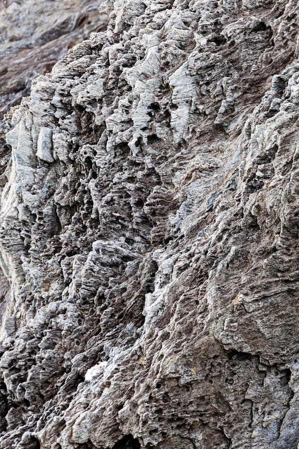 Sharp Gray Rocks on the Beach Stock Photo - Image of beach, ocean: 55604864
