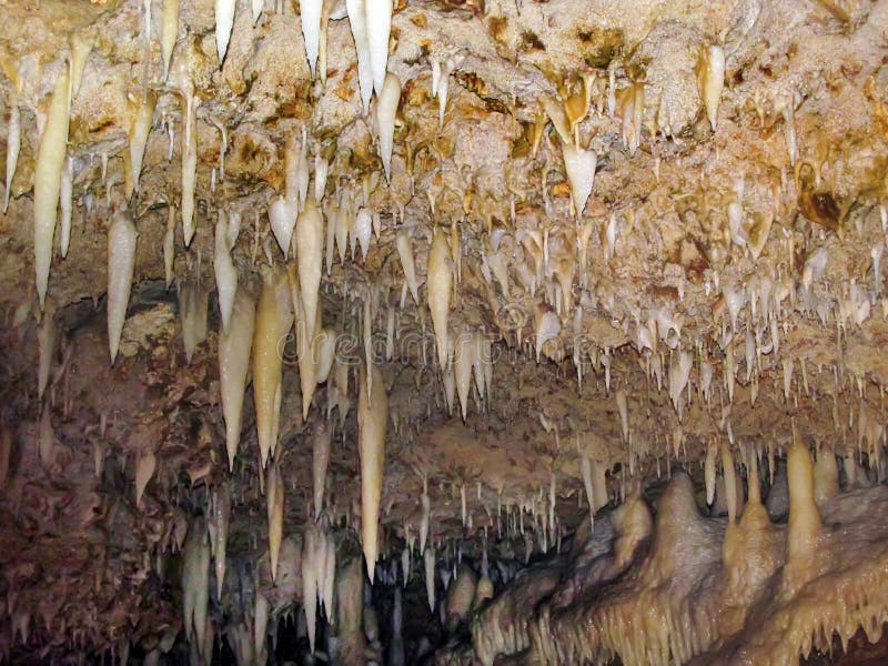 Sharp Hanging Stalactites on the Ceiling of the Cave, Barbados Island ...
