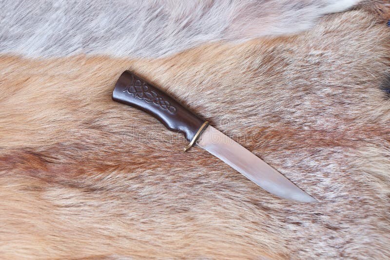 Sharp hunting knife stock photo. Image of kill, fluffy - 84933650