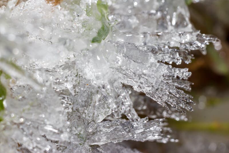 Sharp Ice Growths on Grass and Plants Stock Image - Image of source ...