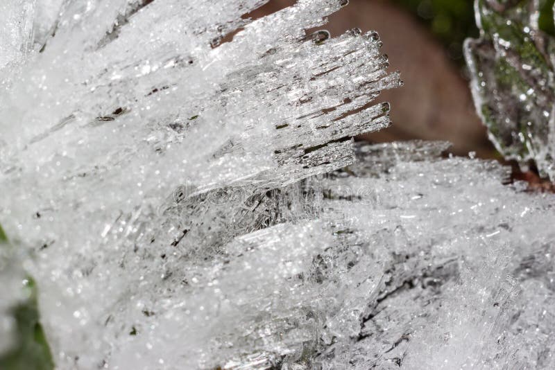 Sharp Ice Growths on Grass and Plants Stock Image - Image of close ...