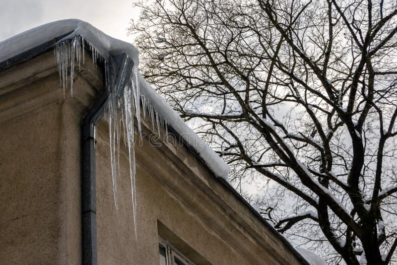Sharp Icicles Hanging on the Edge of the Roof. Melting Snow Forms ...