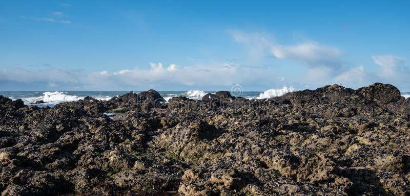 Sharp, Jagged Rocks on the Beach with Ocean Behind. Compressed ...