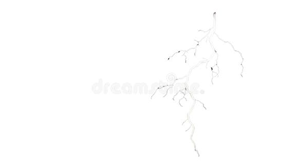 Sharp Lightning Bolt Streak with a Vivid Jagged Shape Against a Solid ...