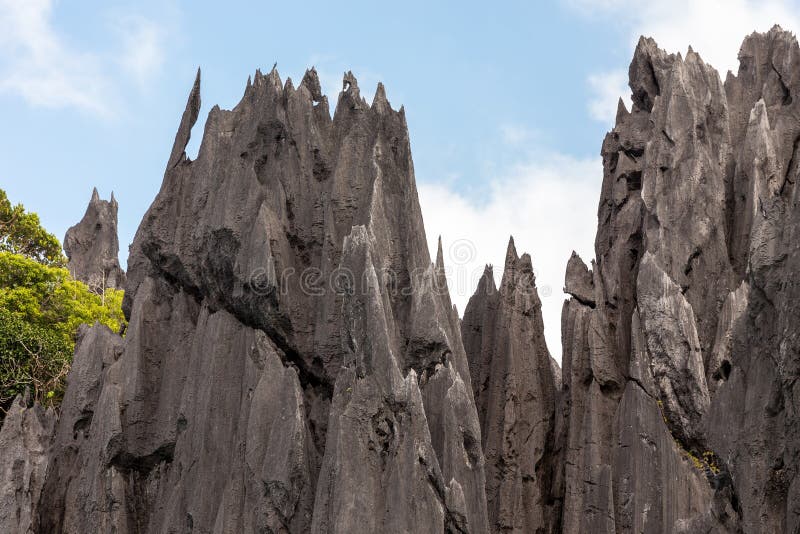 Limestone Coastline Landscape Stock Image - Image of philippines ...