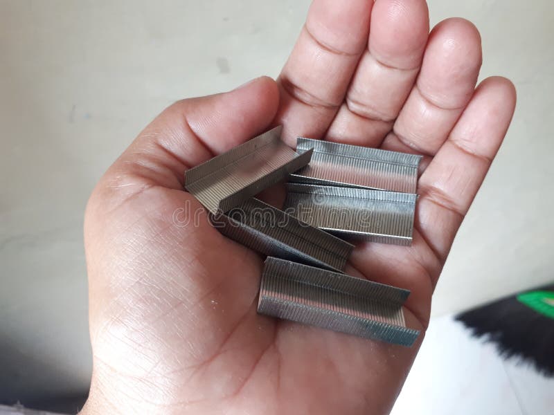 Sharp Metal Stapler Refill on a Hand Stock Image - Image of nail, metal ...