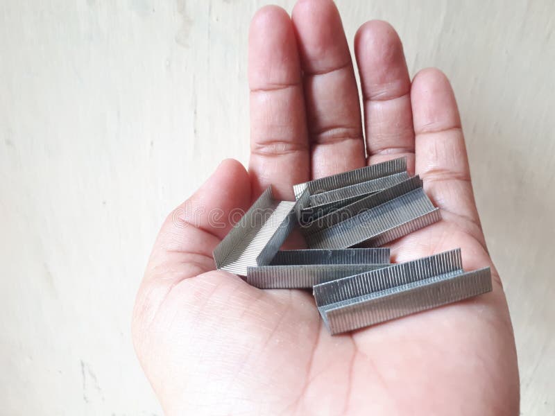 Sharp Metal Stapler Refill on a Hand Stock Image - Image of finger ...