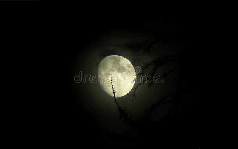 Sharp moon stock photo. Image of moon, magical, white - 49997428