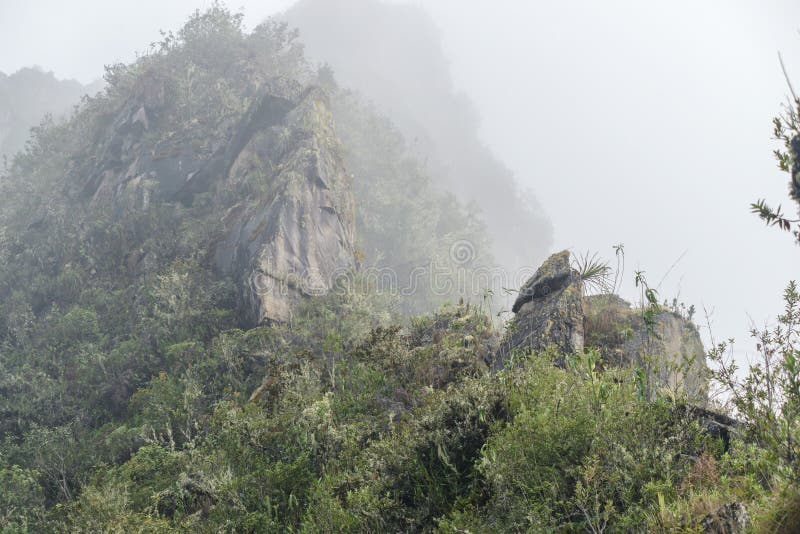 Mountain ridge in fog stock image. Image of nature, ridge - 135458181