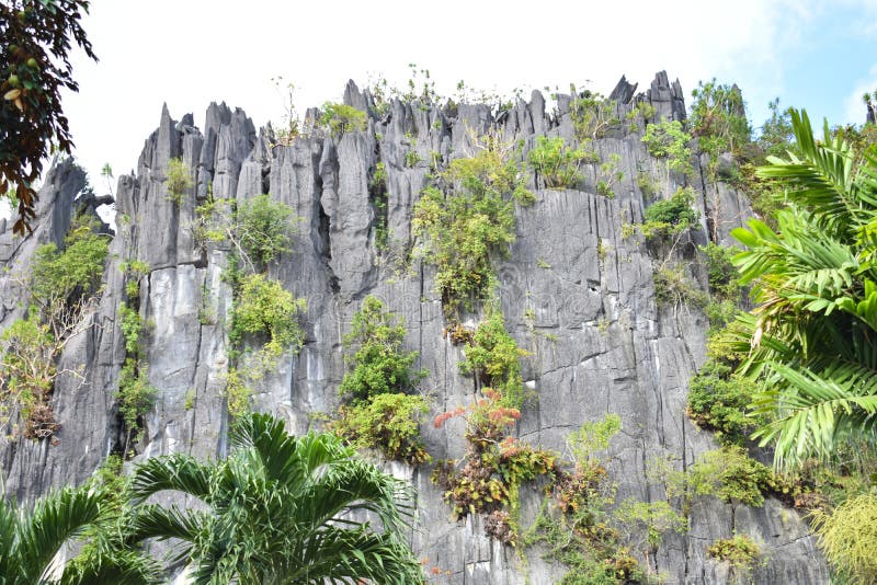 Taraw Cliff of El Nido stock image. Image of beach, elnido - 28236197