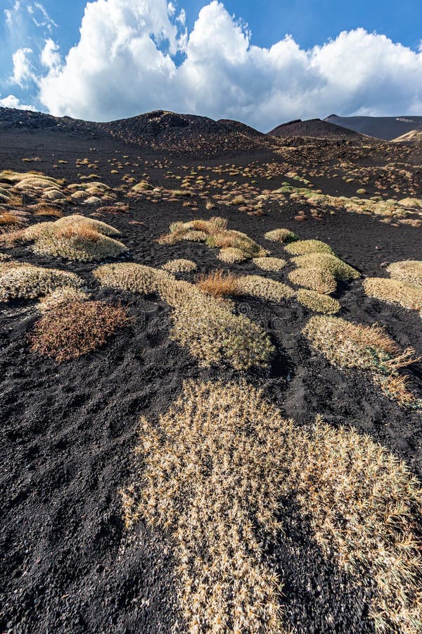 390 Volcano Ash Cover Stock Photos - Free & Royalty-Free Stock Photos ...