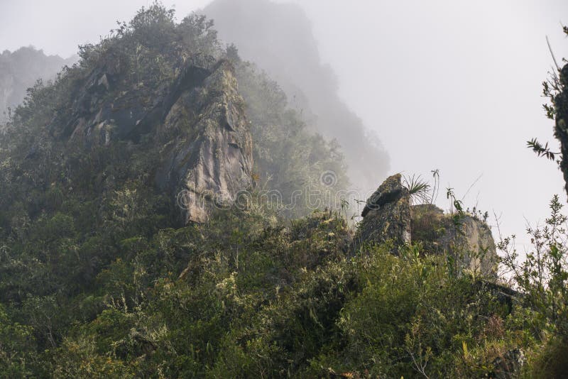 Sharp ridge in fog stock image. Image of tropical, forest - 240498251