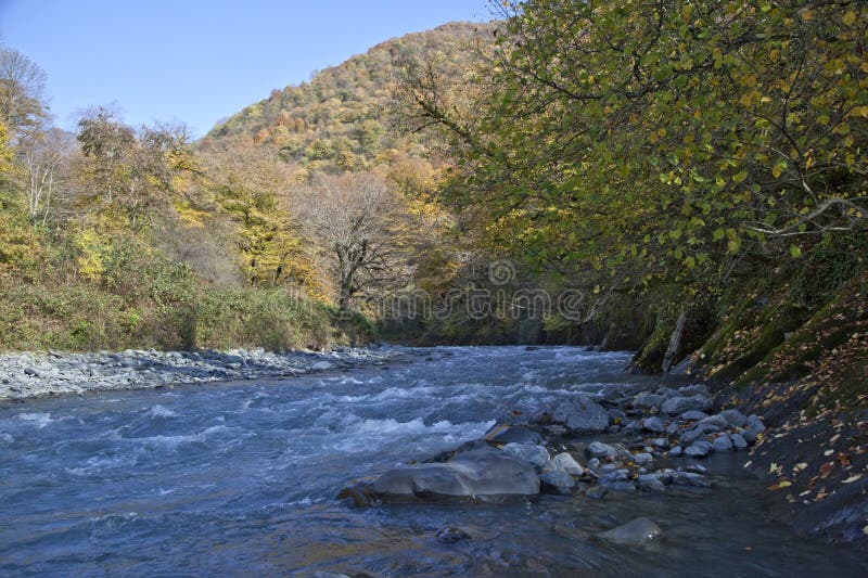A Sharp River Flowing in the Forest. a Mountain River. a River of ...