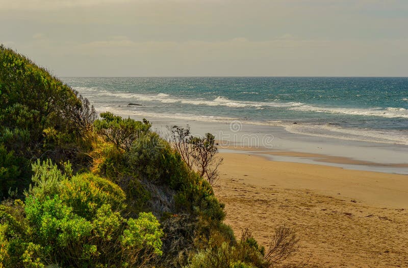 The sharp rocks stock image. Image of pacific, great - 92406897