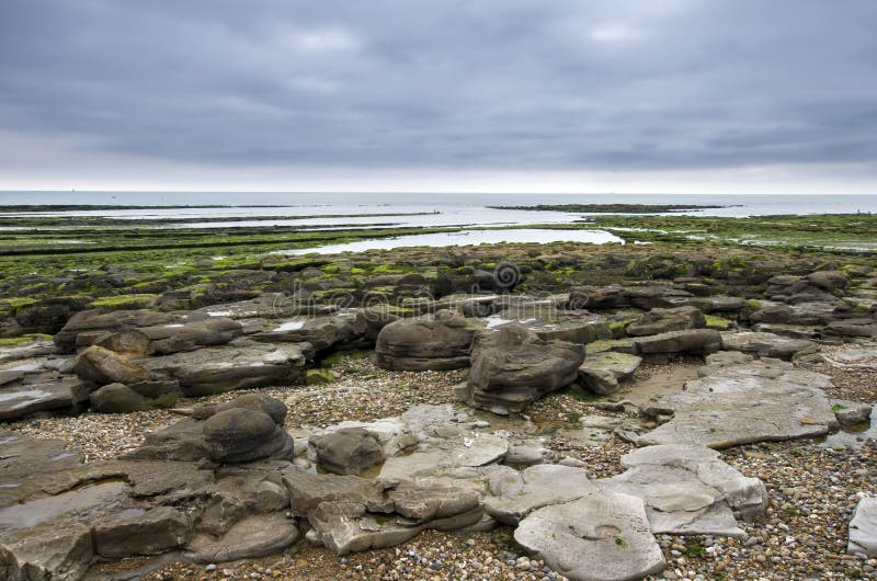 Sharp rocks on shore stock image. Image of macro, closeup - 122197657