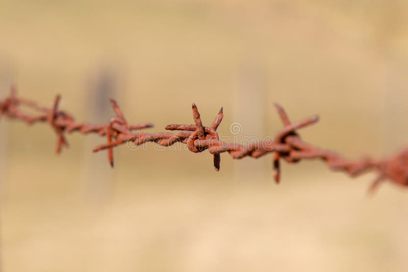 Rusty Barbed Wire, Close Up of a Single Strand on a Fence Post Stock ...